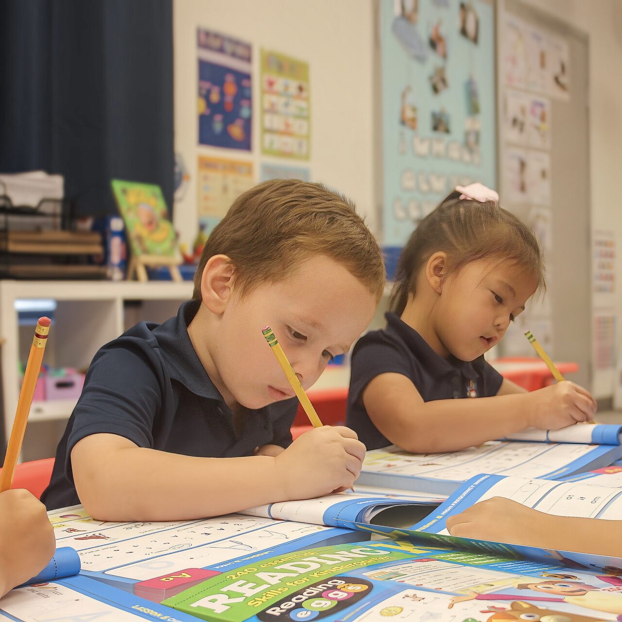 About Us | Shenker Academy